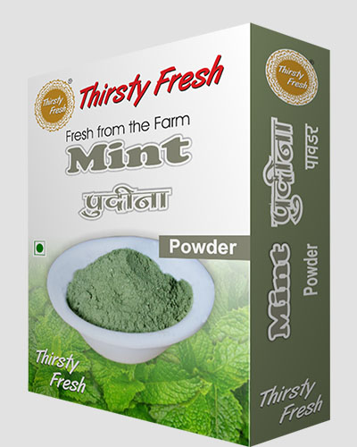 Mint Powder Dehydrated Ready to Use for Kitchen - Thirsty Fresh